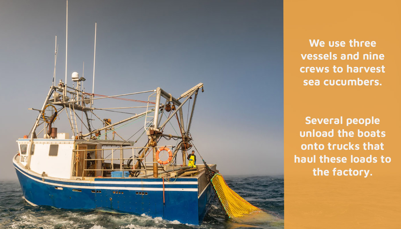 Operation – Ocean Pride Fisheries